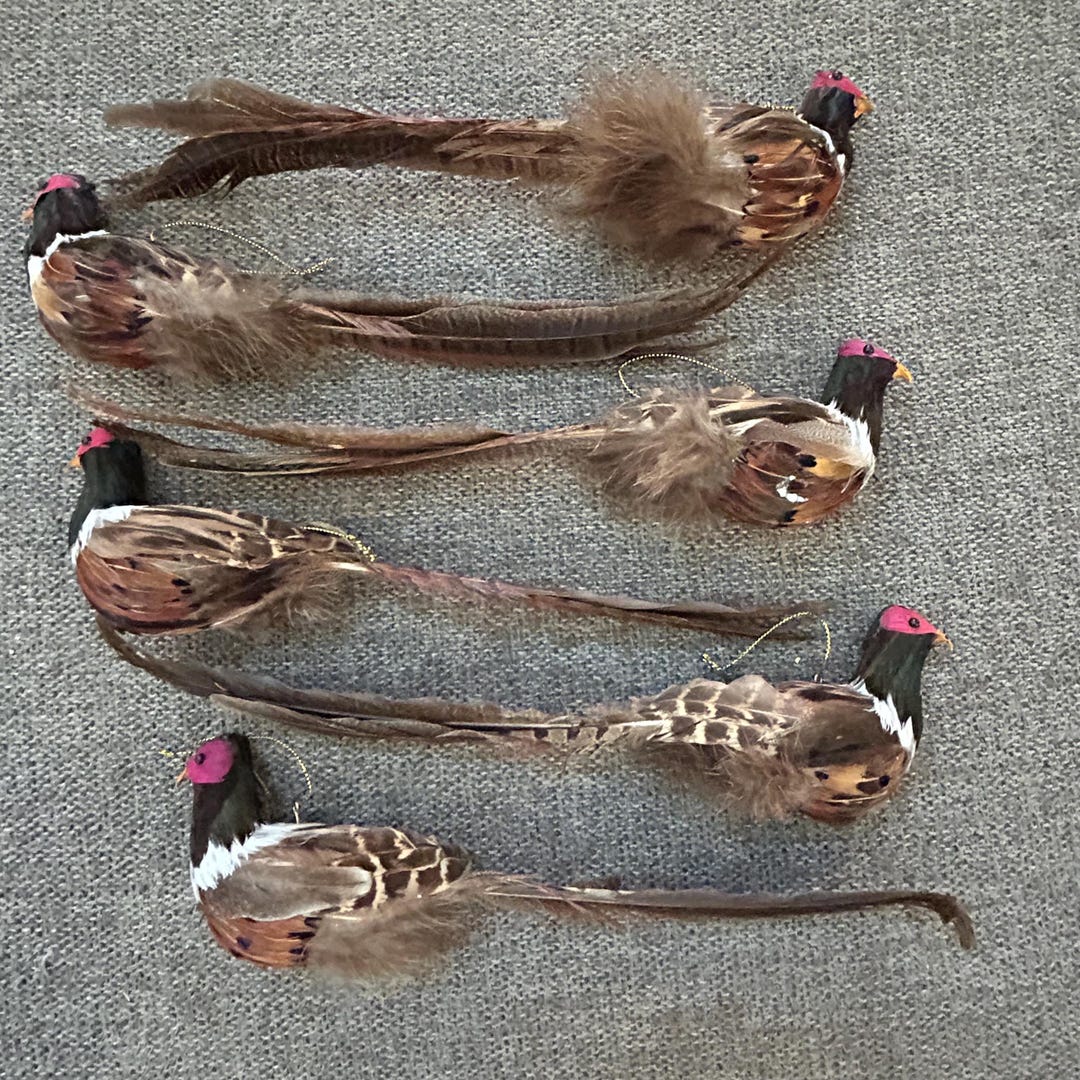 Pheasant Ornaments. Set of Six. Real Feathers. About 10” Long. Perfect ...