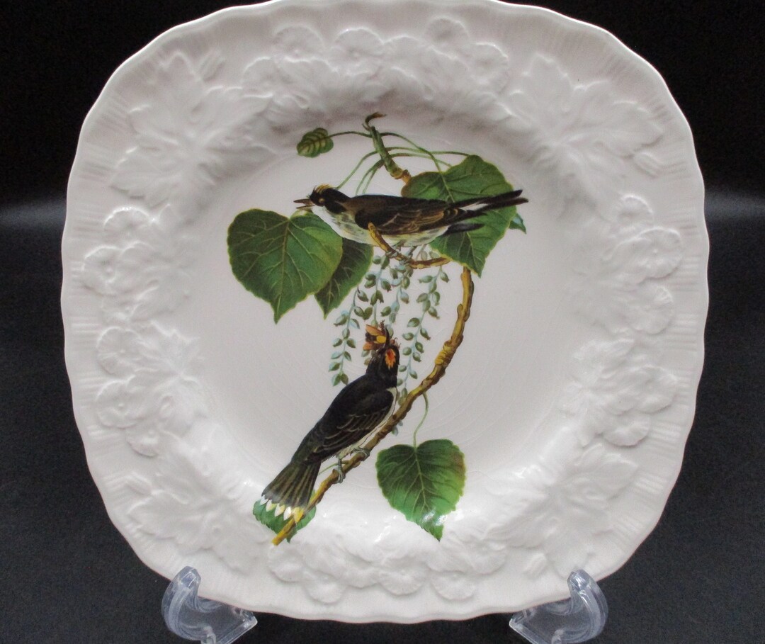 Alfred Meakin Audobon Square Luncheon Plate, Kingbird, #79 - Etsy