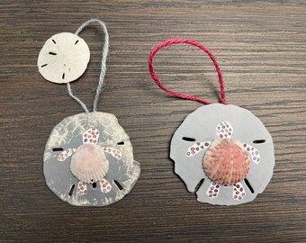 Coastal Baby Turtle Sea Shell Sand Dollar Ornaments Set of 2 - Etsy