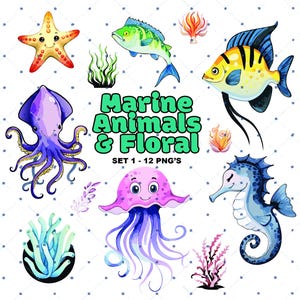 Marine Animals & Floral Clipart Set 1 - Underwater Sea Life, Ocean ...