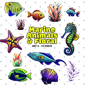 Marine Animals & Floral Clipart Set 2 - Underwater Sea Life, Ocean ...