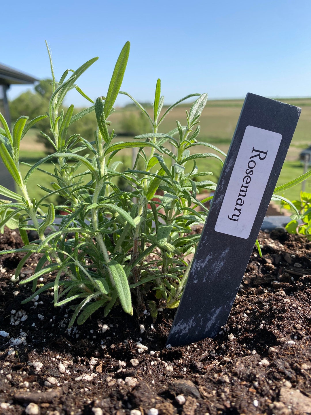 Slate Garden Stakes With Labels and Oil Based Pen | Reusable Plant ...