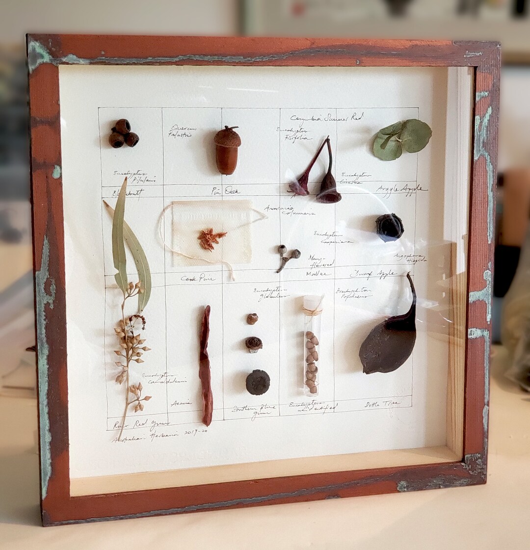 Scientific, Herbarium Framed Art, Home Decor, Plant, Botanical, Cotton ...