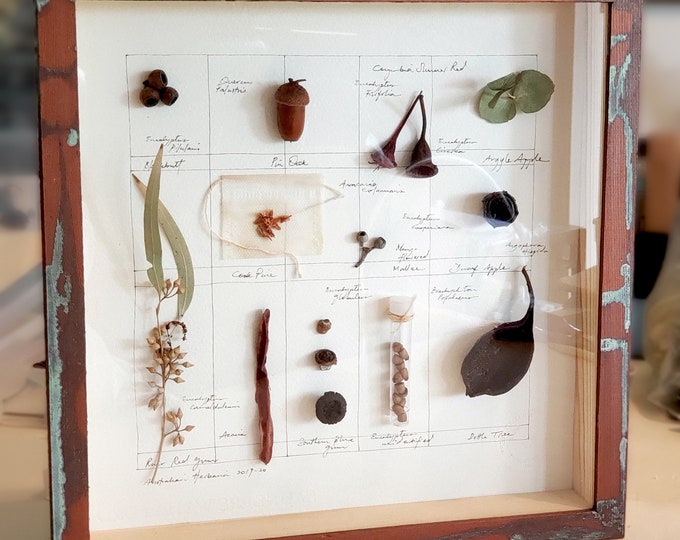 Scientific, Herbarium Framed Art, Home Decor, Plant, Botanical, Cotton ...
