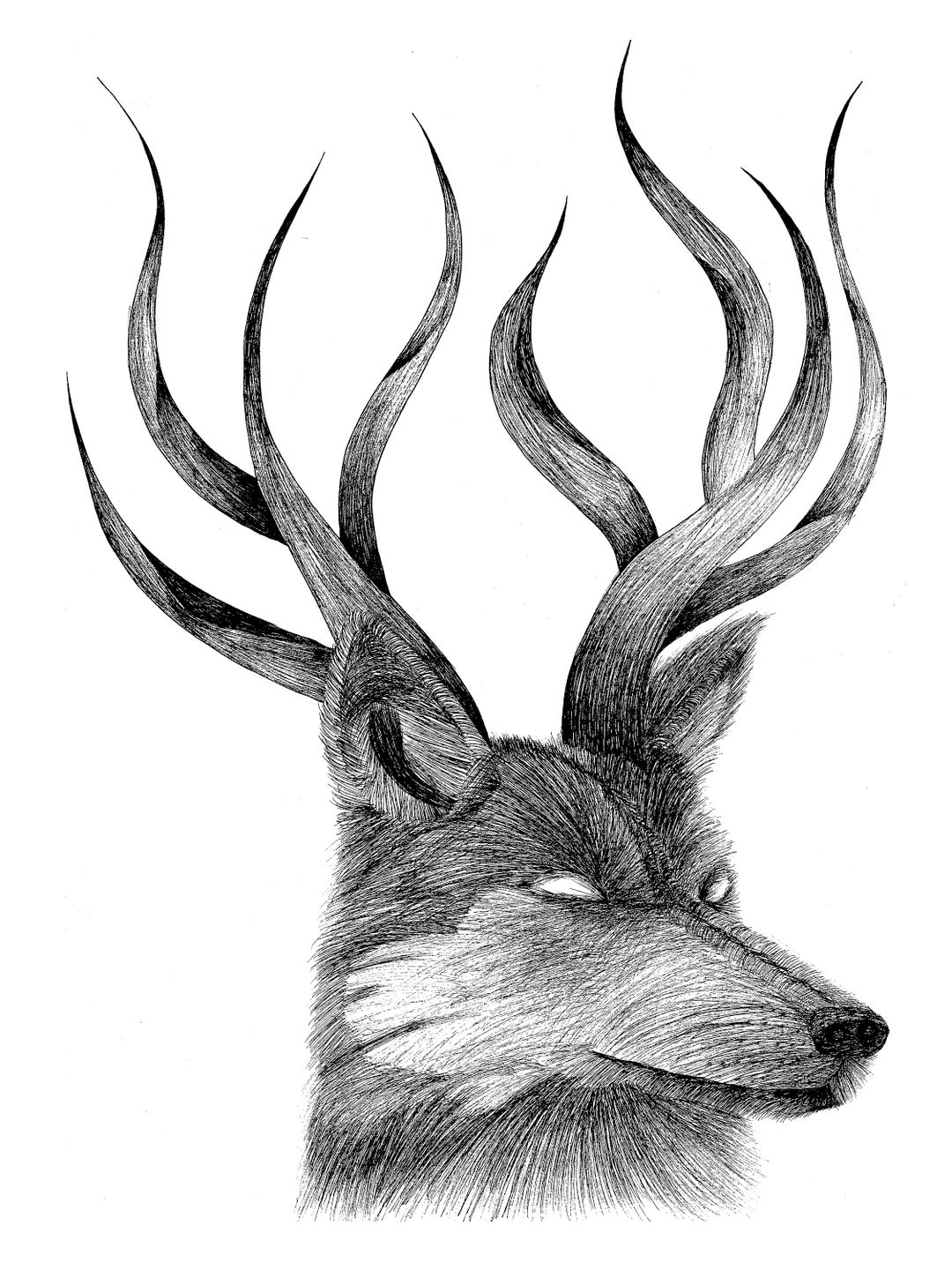 Ancient Wolf Pen and Ink Drawing Print by Jana Reinmuth - Etsy