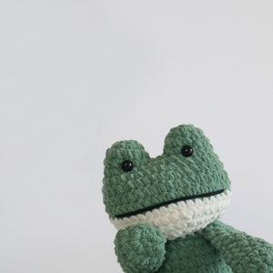 Crochet Pattern-plush Milo the Frog(pdf/eng) - Etsy