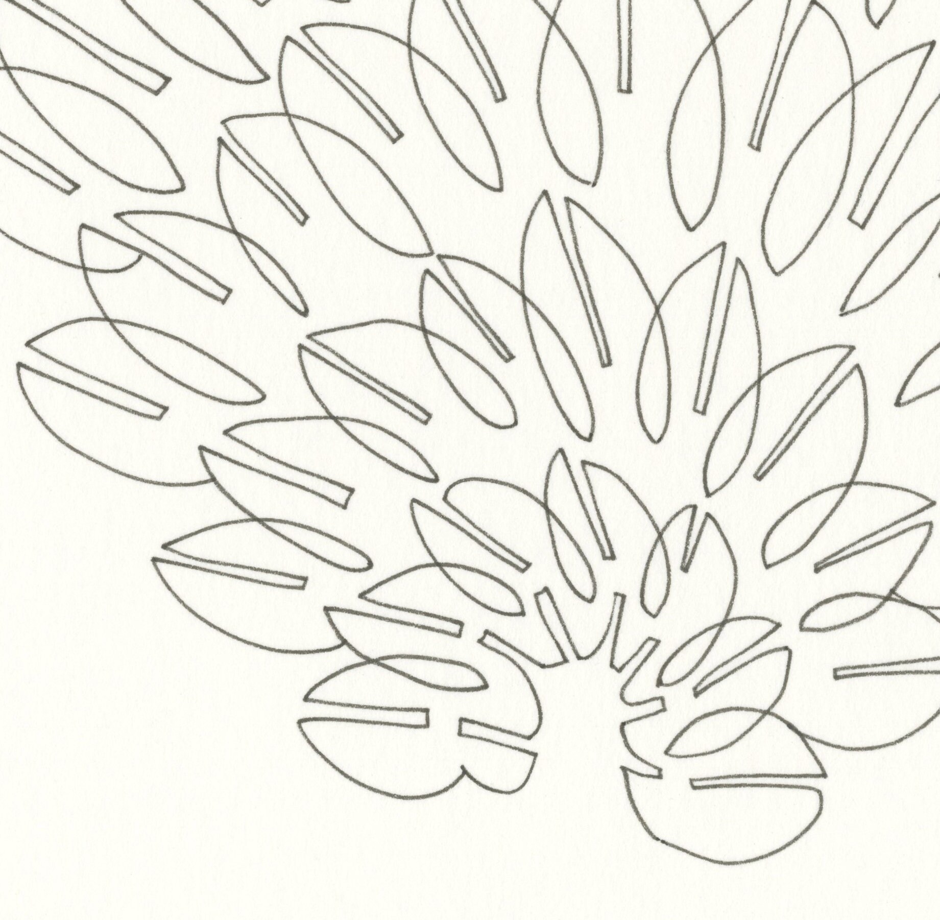 Black Ink Abstract Drawing Hand Drawn Wall Decor Ink and Paper Black ...