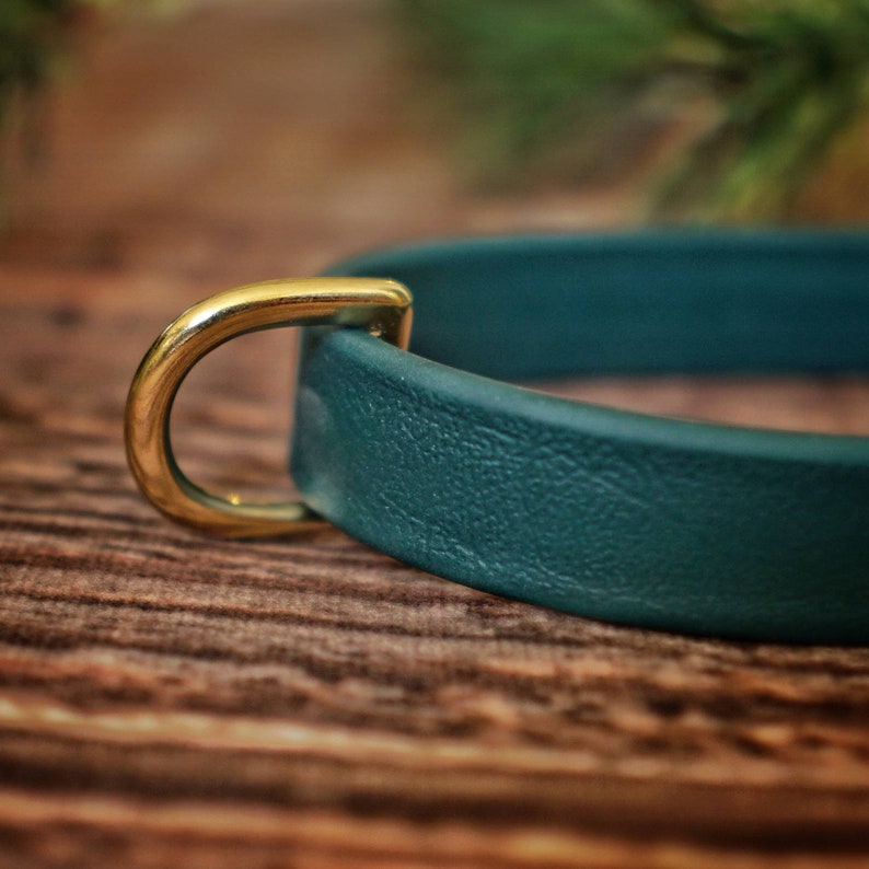 Traffic Lead Biothane Lead Waterproof Dog Leash Dog Gift - Etsy