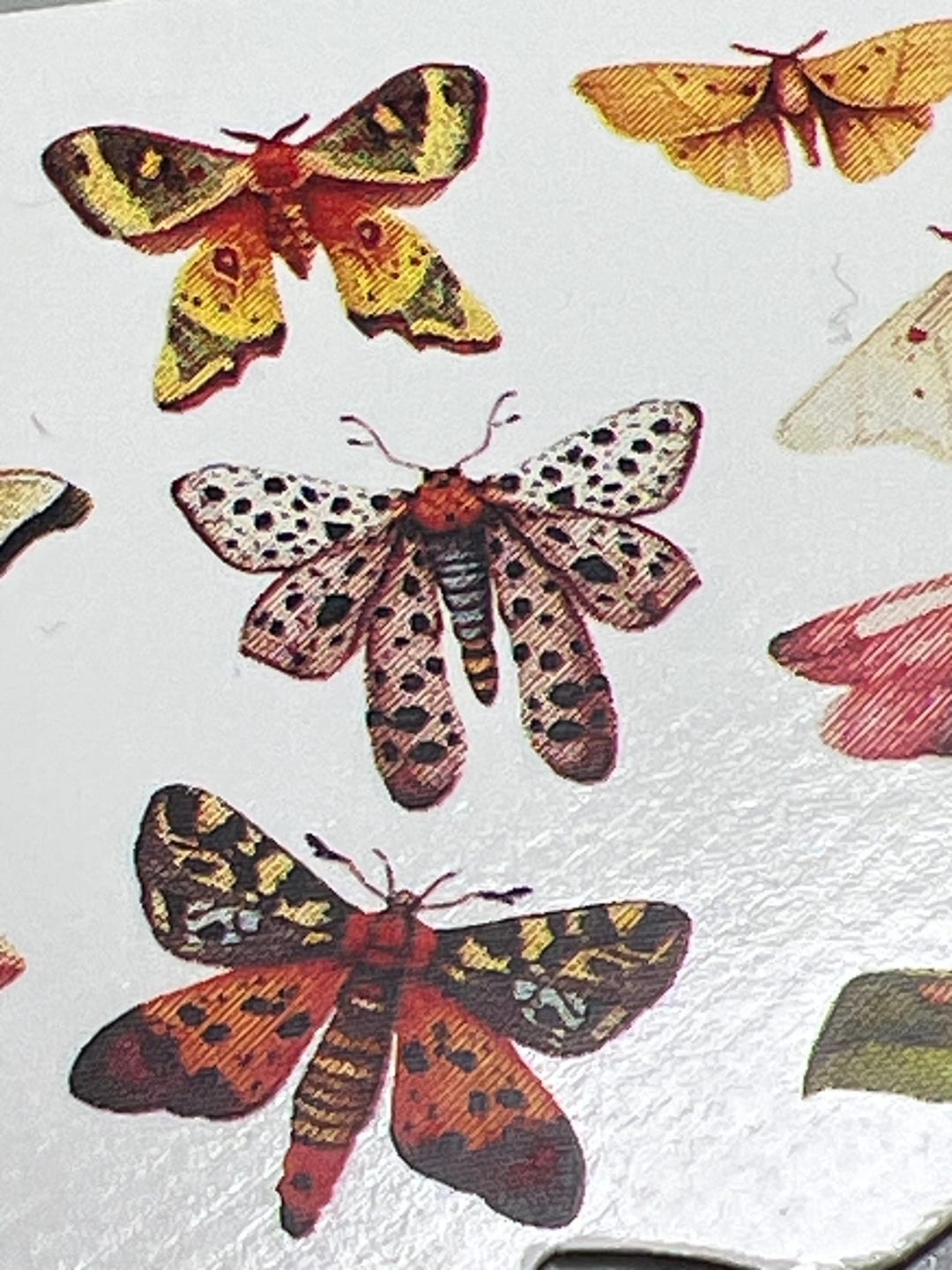 Custom Moth Ellie Necklace - Etsy