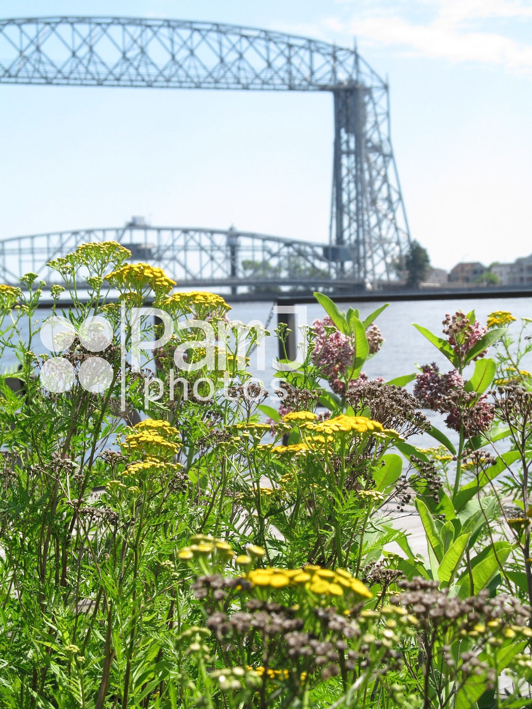 Duluth, Lift Bridge, Spring Flowers, Lake Superior, Minnesota Wall Art ...