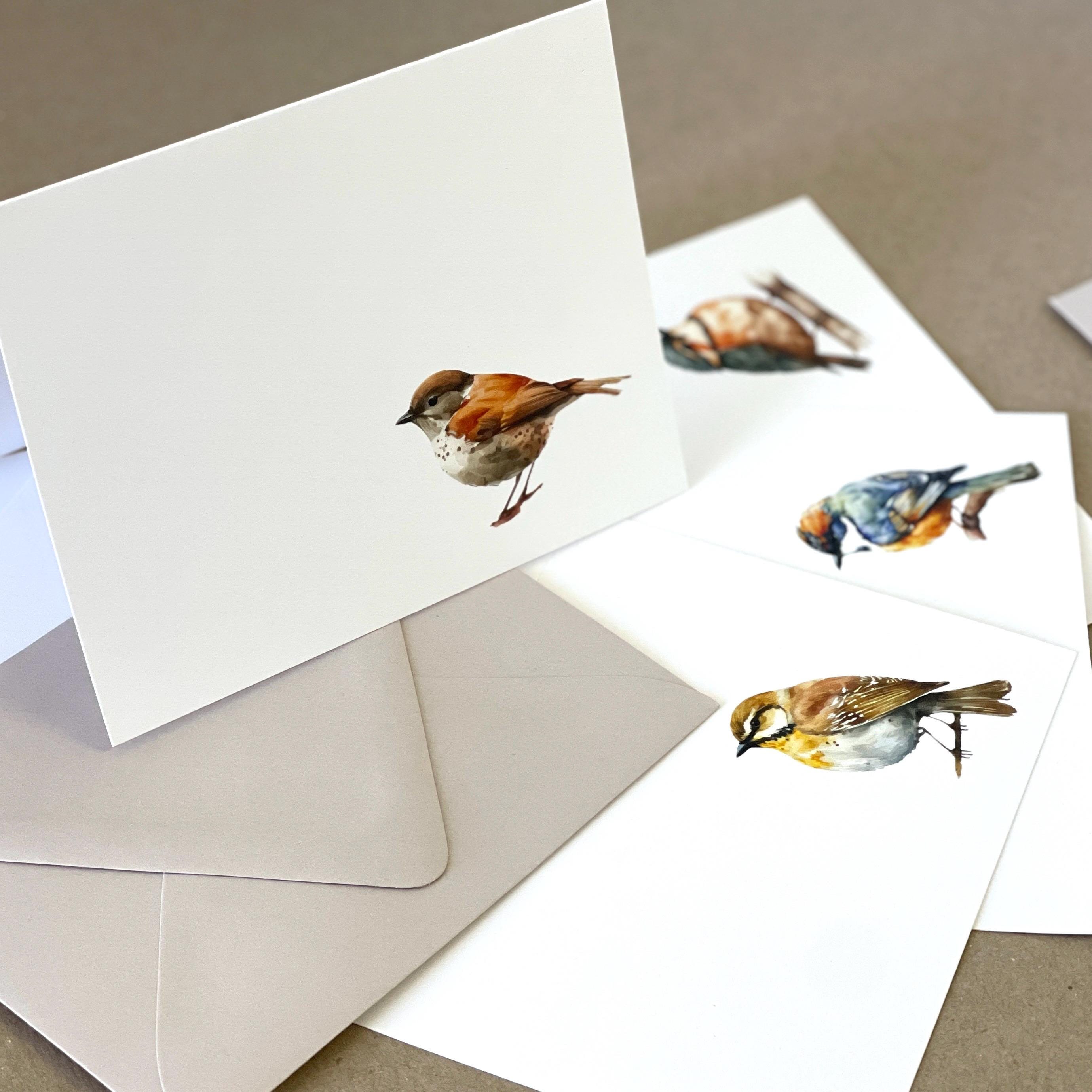 Bird Notecards - Set of 12 Watercolor Bird Folded Cards With Envelopes ...