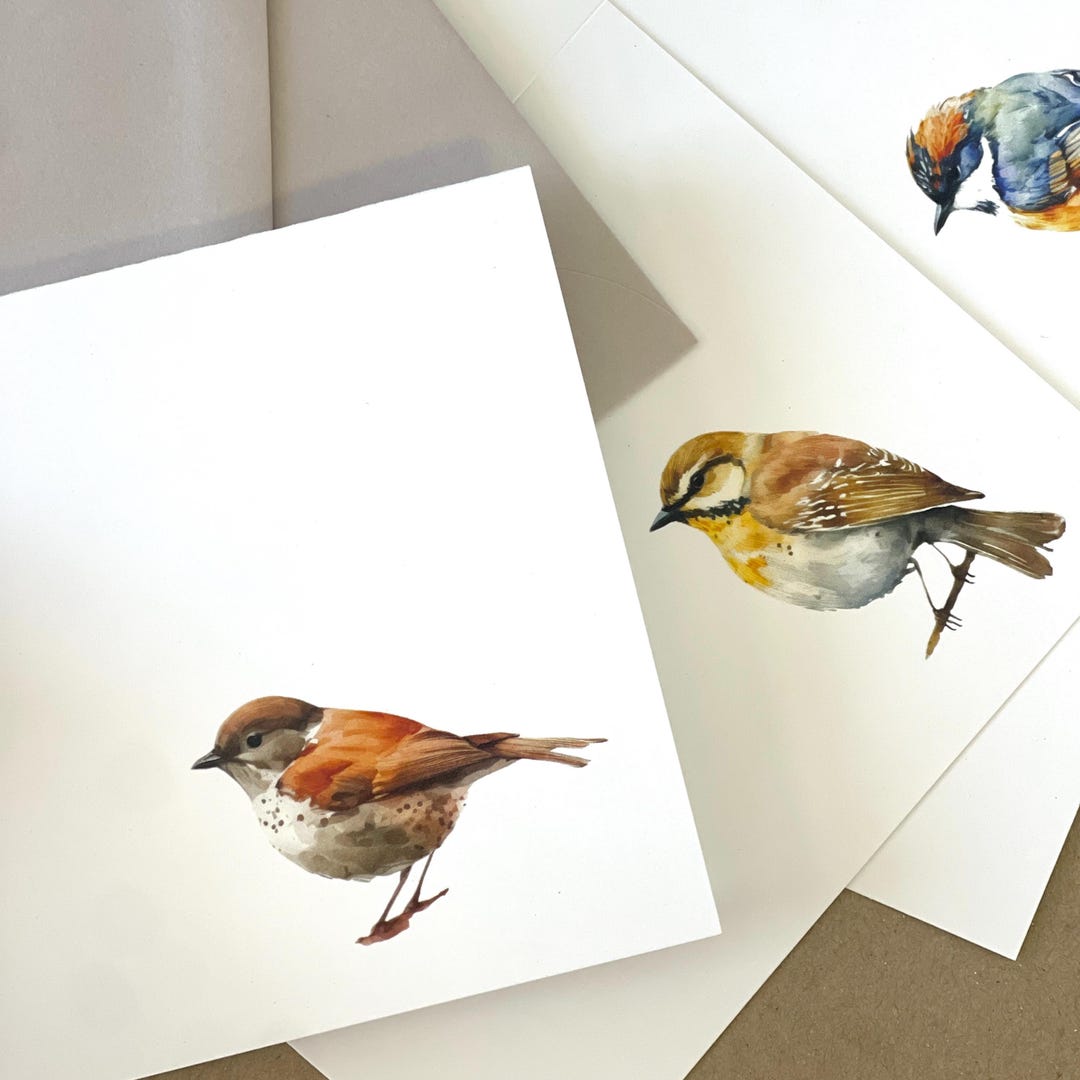 Bird Notecards - Set of 12 Watercolor Bird Folded Cards With Envelopes ...