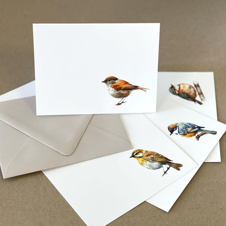 Bird Notecards - Set of 12 Watercolor Bird Folded Cards With Envelopes ...