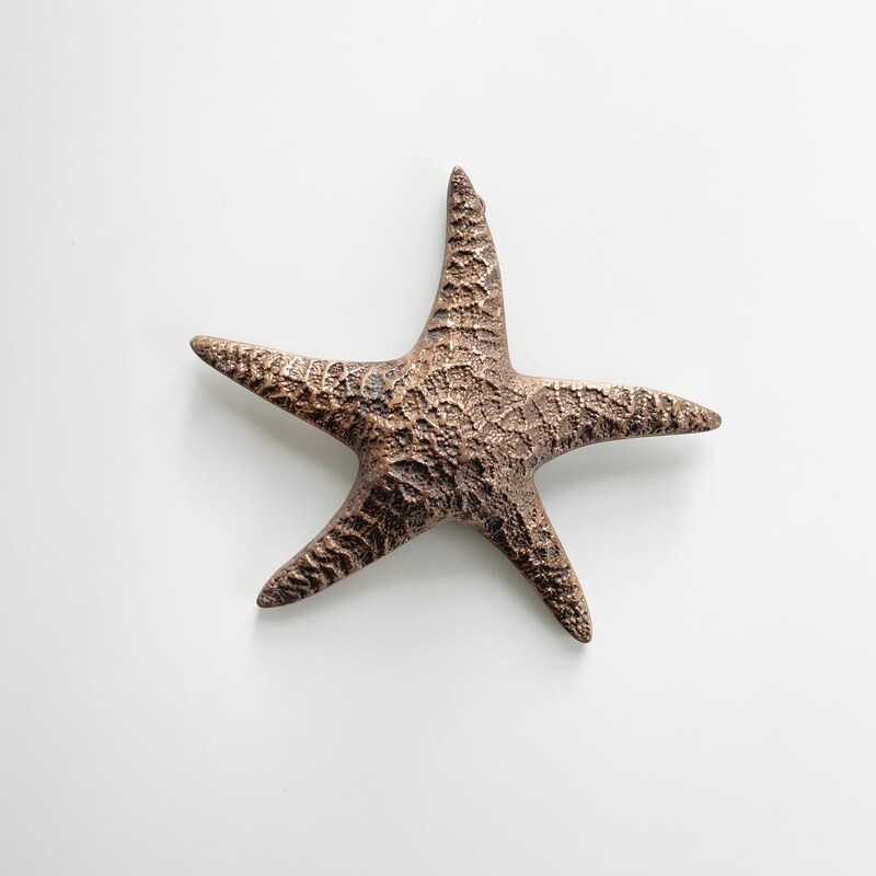 Starfish Home Decor - Etsy