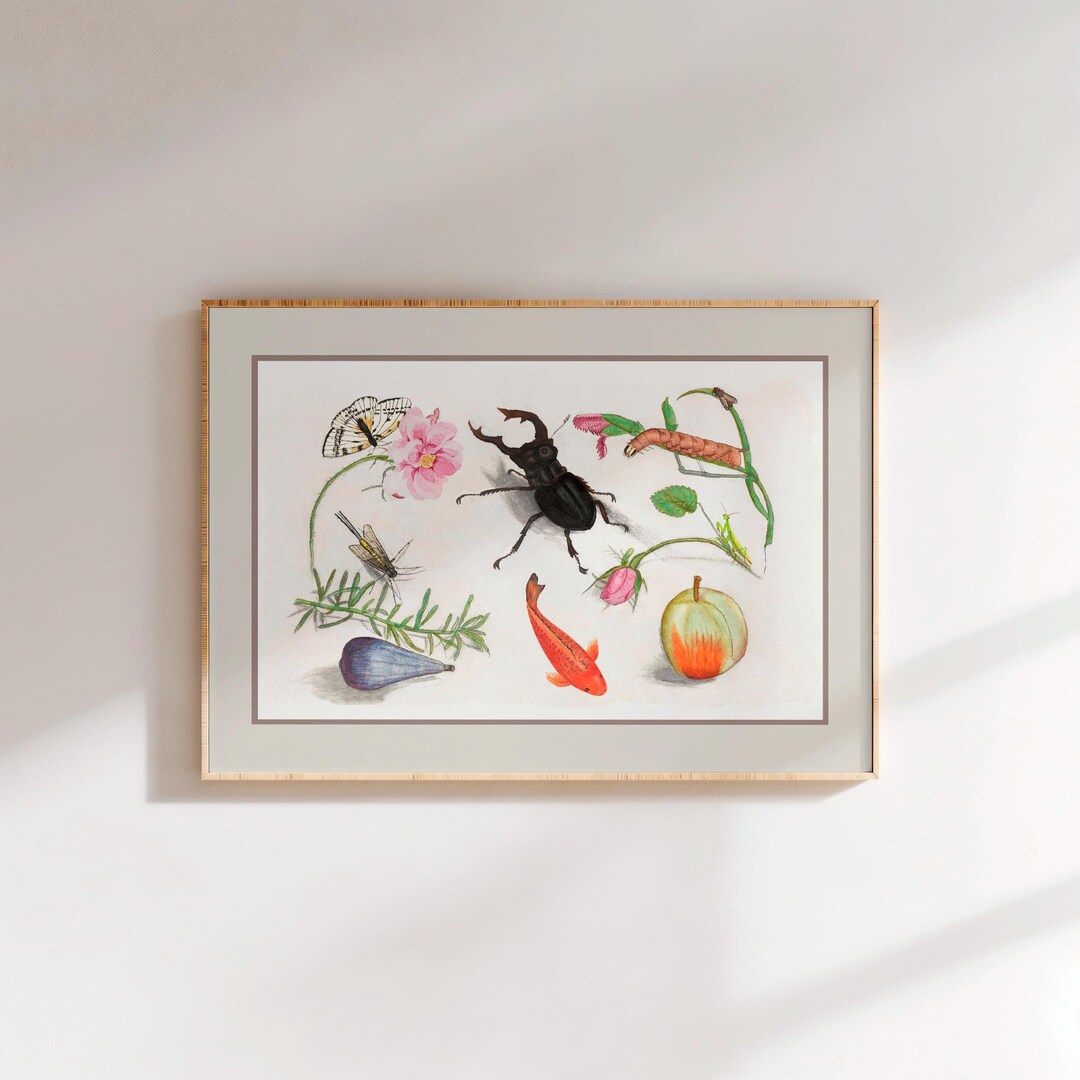 Vintage Insect Art Print, Pretty Bug Art Print, Butterfly Art Prints ...