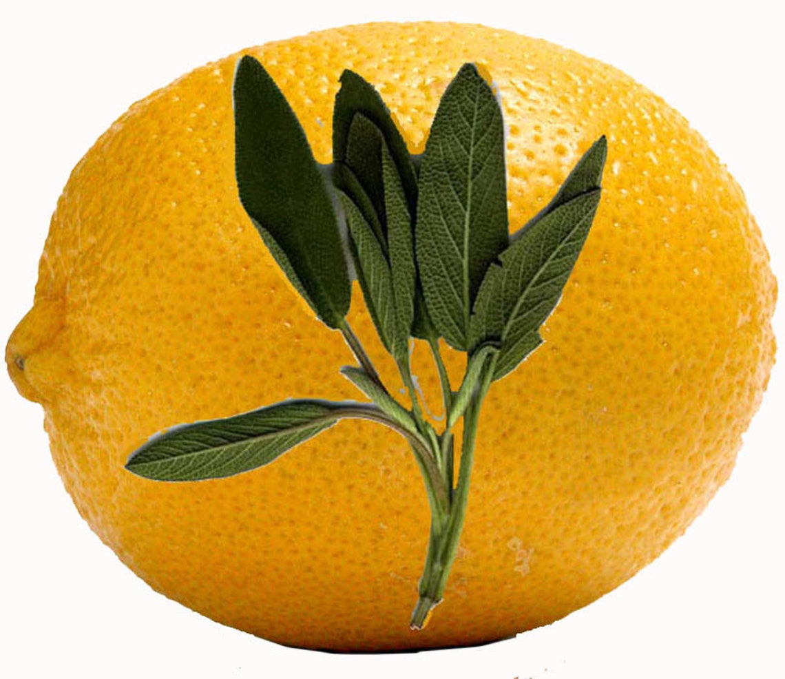 32 Oz Sage & Citrus Fragrance Reed Diffuser Oil Refill Made - Etsy