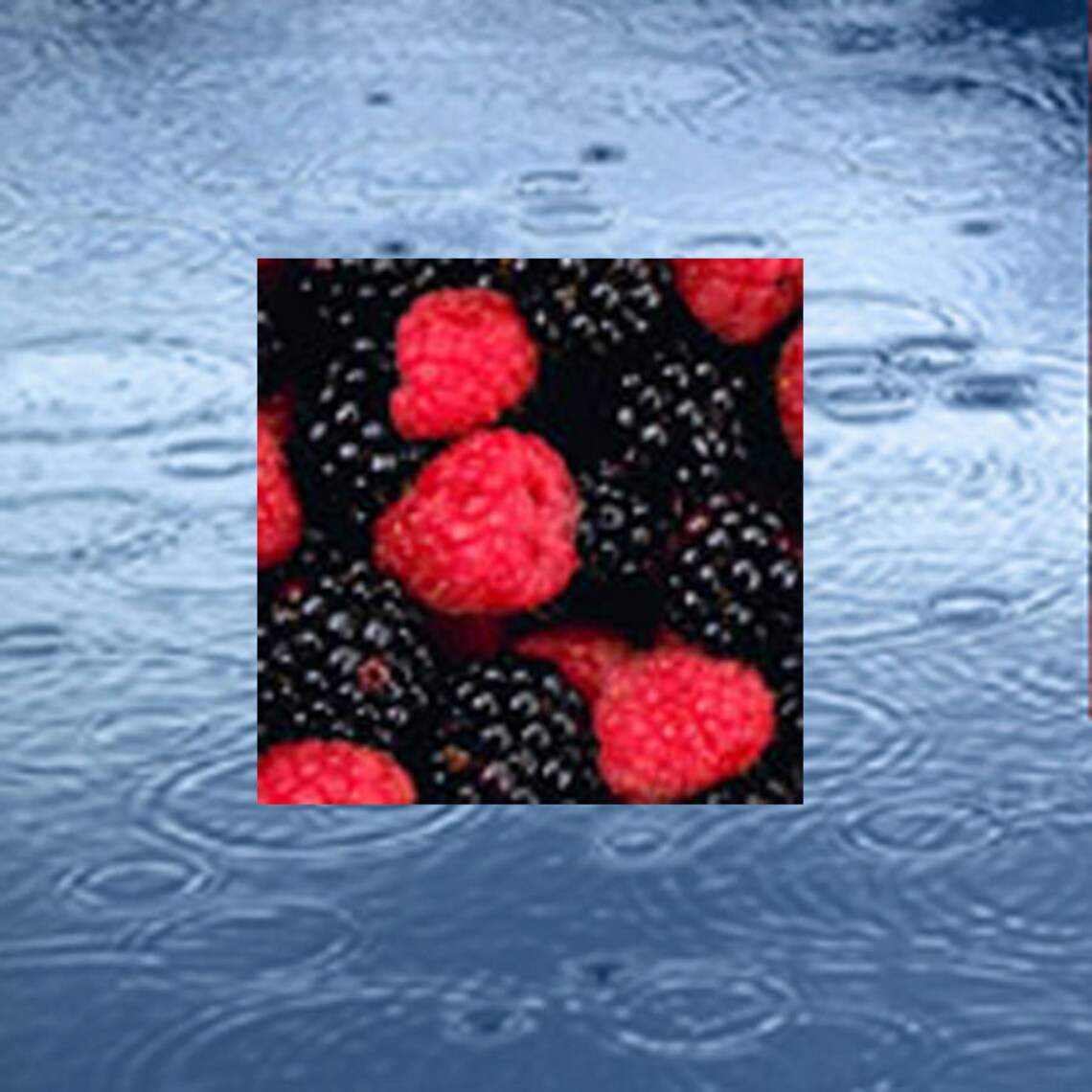 8 Oz Raspberry Rain Fragrance Reed Diffuser Oil Refill Made - Etsy