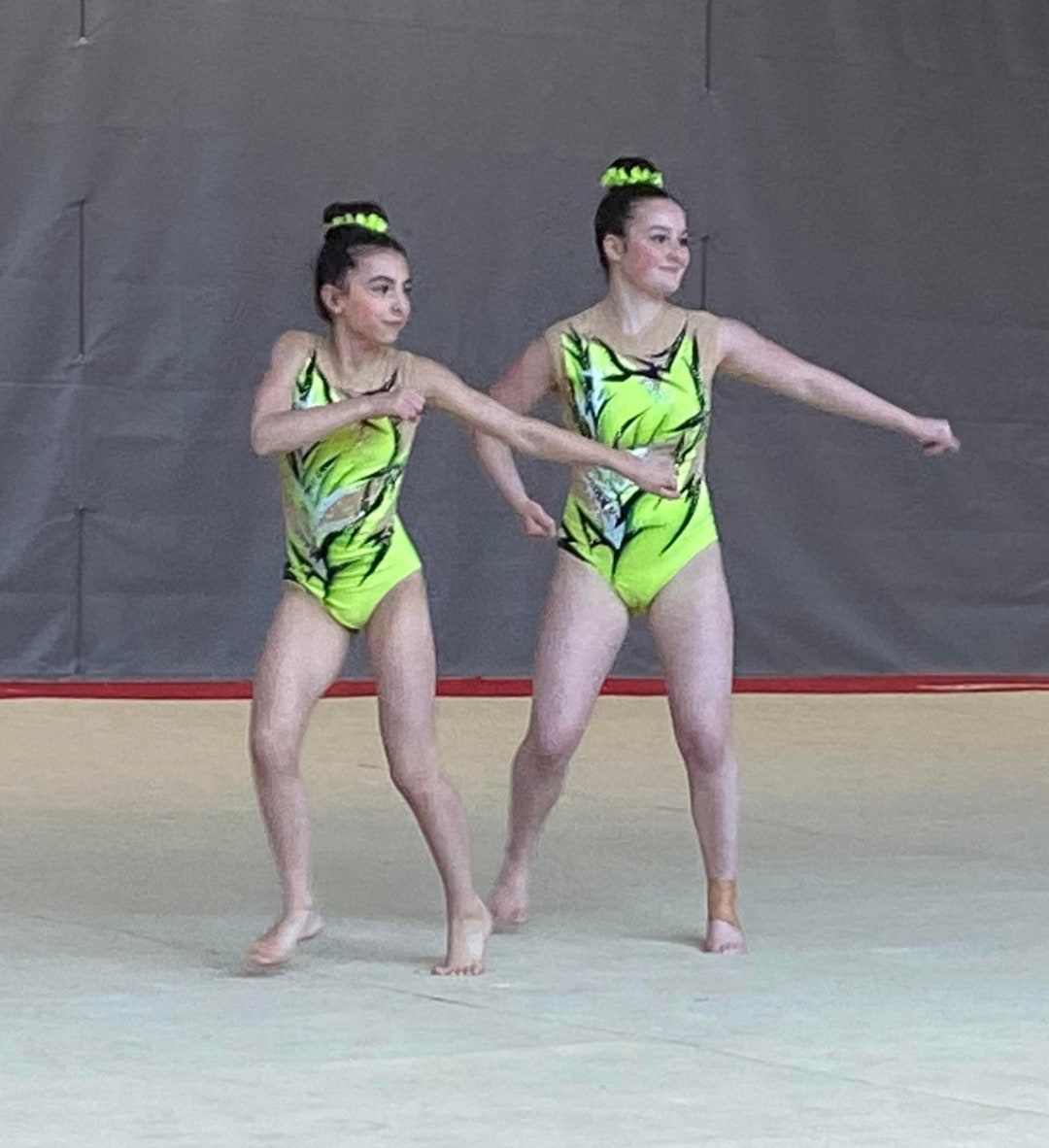 Justaucorps, Compétition, Acrosport, Cirque, Danse, Spectacle, Nage ...