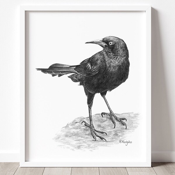 Grackle Art - Etsy