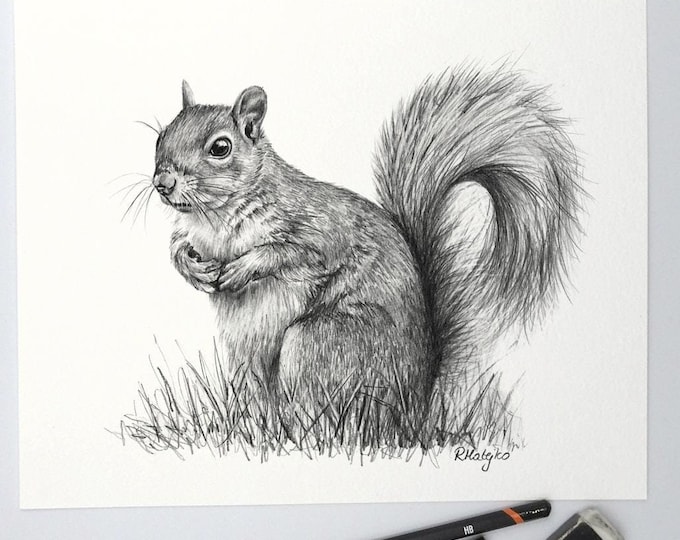 ORIGINAL Squirrel Pencil Drawing, Squirrel Wall Art, Nature Woodland ...