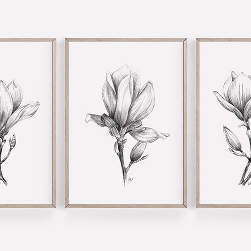 PRINTABLE Magnolia Art Print Graphite Pencil Drawing - Etsy