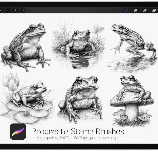 Realistic Frog - Etsy