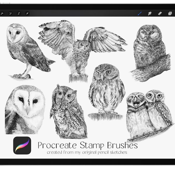 Owl Digital Stamp - Etsy