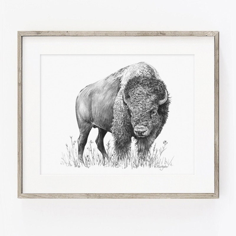 Bison Art - Etsy