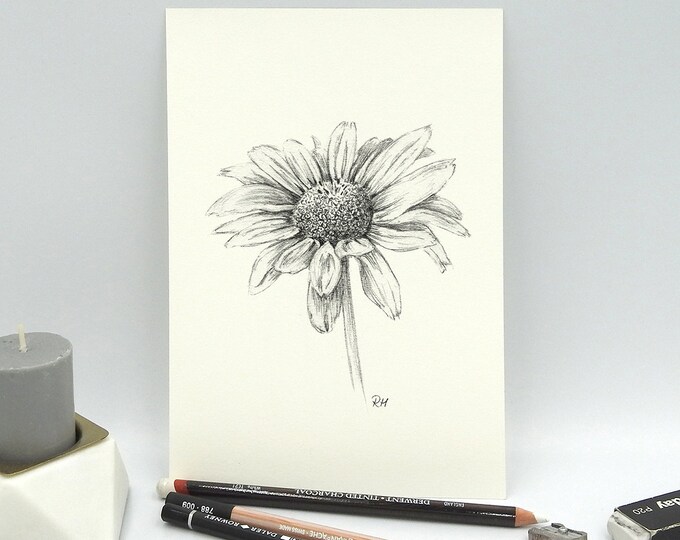 ORIGINAL Daisy Pencil Drawing Botanical Wall Art Nature | Etsy UK