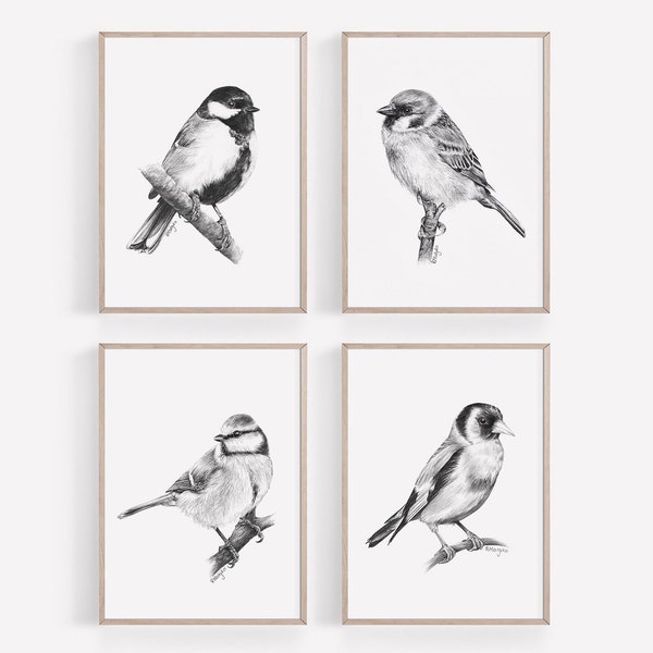 Printable Bird Art - Etsy
