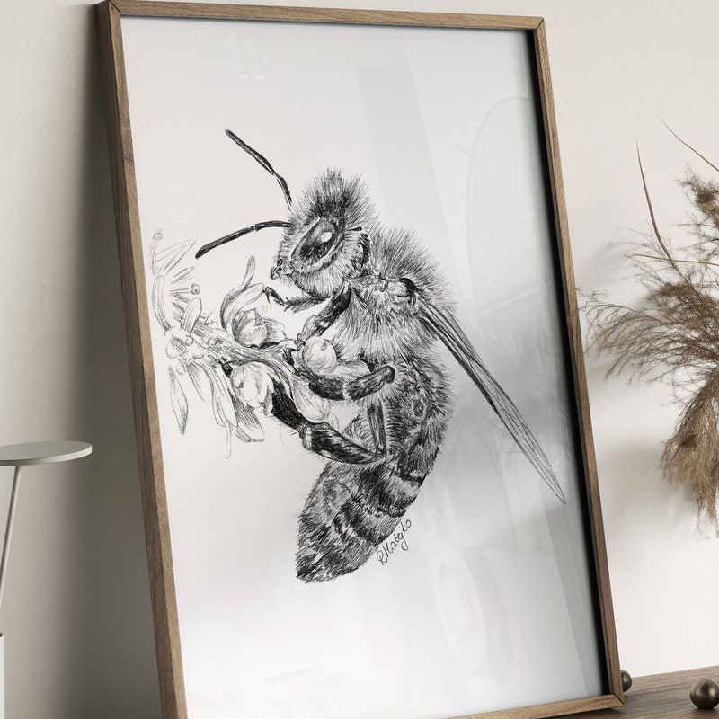 Honey Bee Print - Etsy