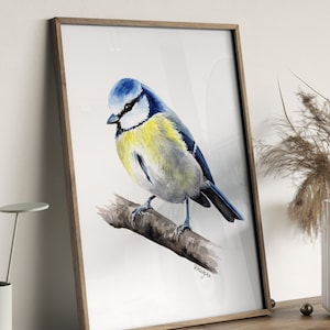 Blue Tit Art PRINT, Watercolor Blue Tit Painting, British Bird Decor ...