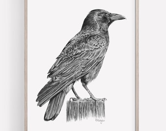 Raven Pencil Sketch - Etsy