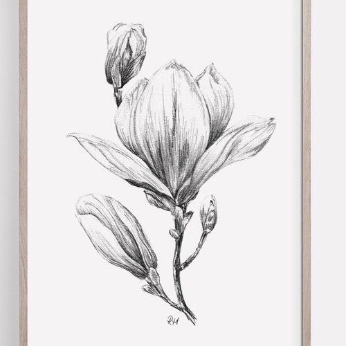 PRINTABLE Magnolia Art Print Graphite Pencil Drawing - Etsy