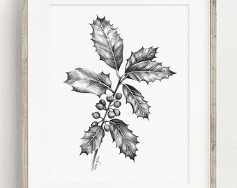 Holly Botanical Art Print - Etsy