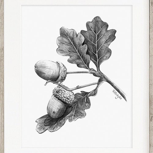 Acorn Printable Fall Poster Print Autumn Art Print Acorn Quote - Etsy