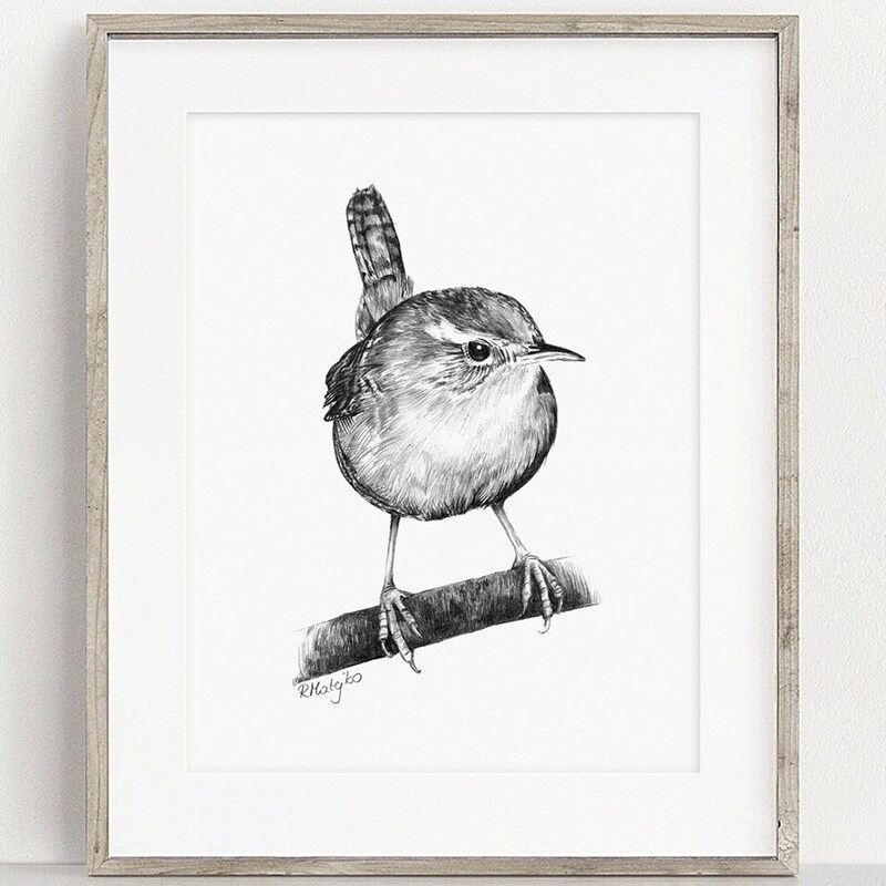 Wren Art Print - Etsy