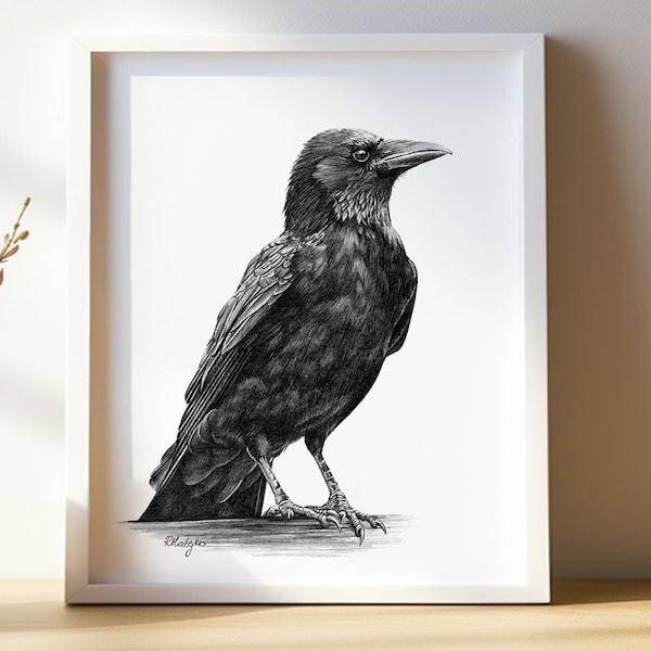 Raven Bird Art - Etsy