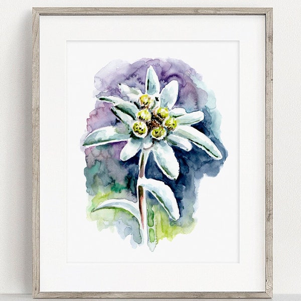 Edelweiss Wall Art - Etsy