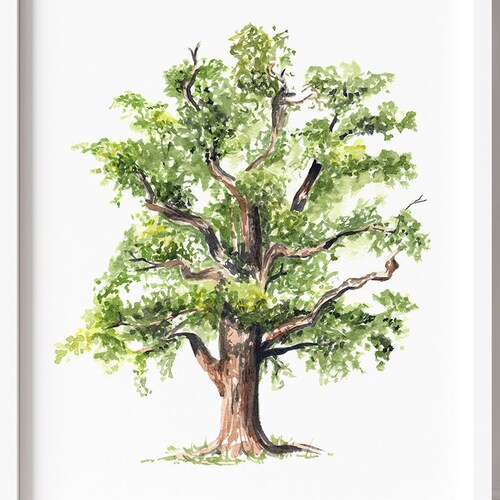 Old Oak Tree Print Nature Lover Gift Couple Gift | Etsy