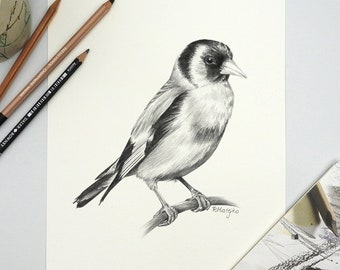 Pencil Drawing & Illustration Greenfinch Bird Wall Art Nature Decor ...