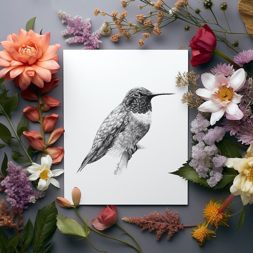 ORIGINAL Hummingbird Pencil Drawing, American Wildlife, Bird Watching ...