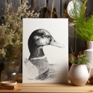 ORIGINAL Mallard Duck Pencil Drawing, Wild Waterfowl Birds Wall Art ...