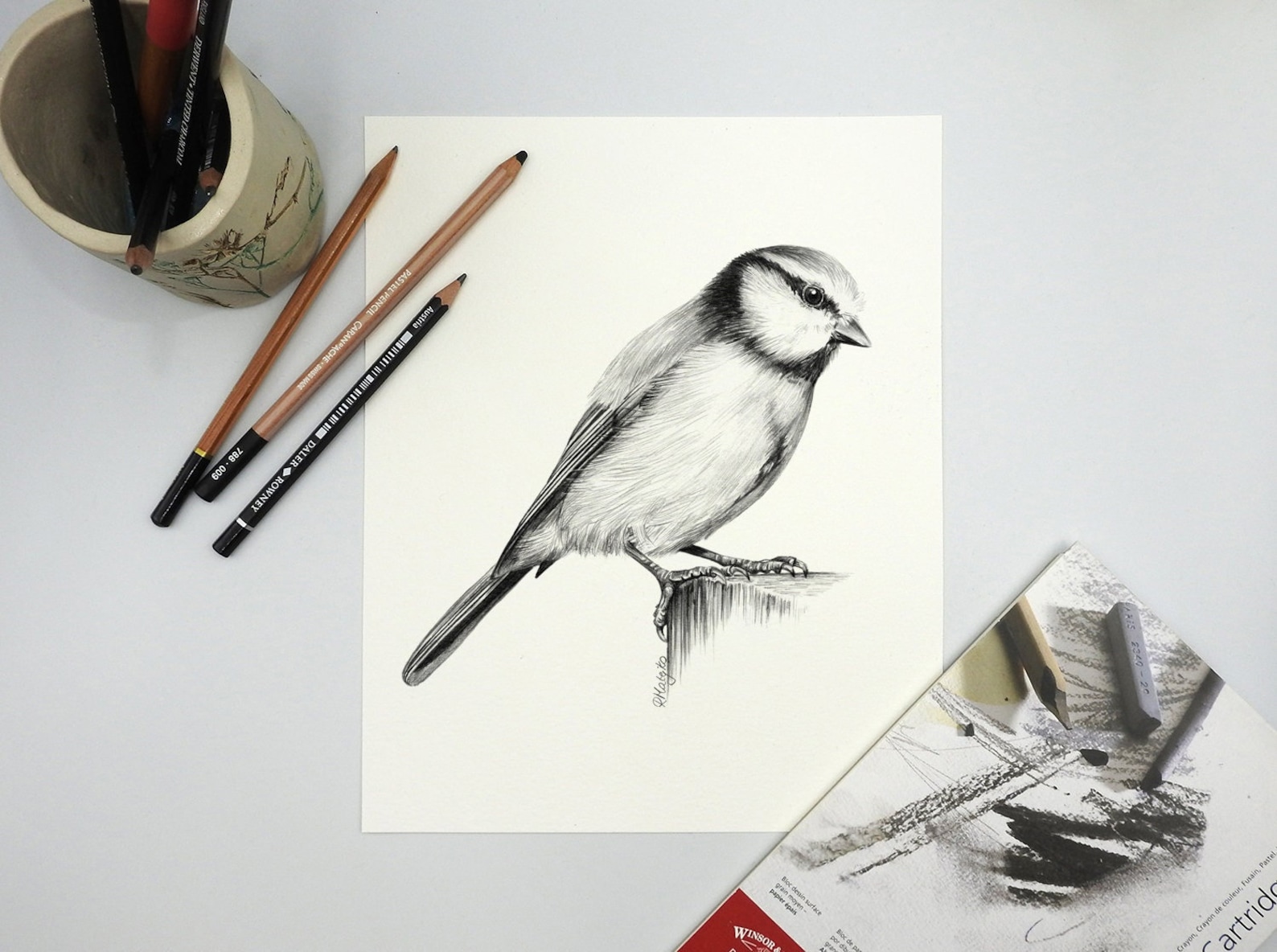 ORIGINAL Blue Tit Bird Pencil Drawing Blue Tit Wall Art - Etsy