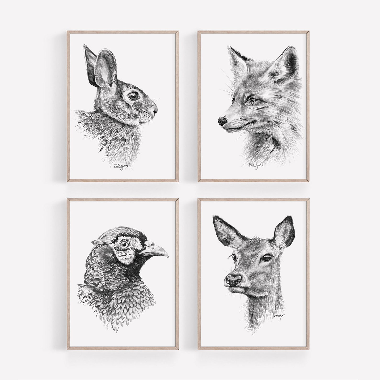 Rabbit Deer Fox Pheasant Wall Art PRINT Set of 4, Pencil Drawing ...