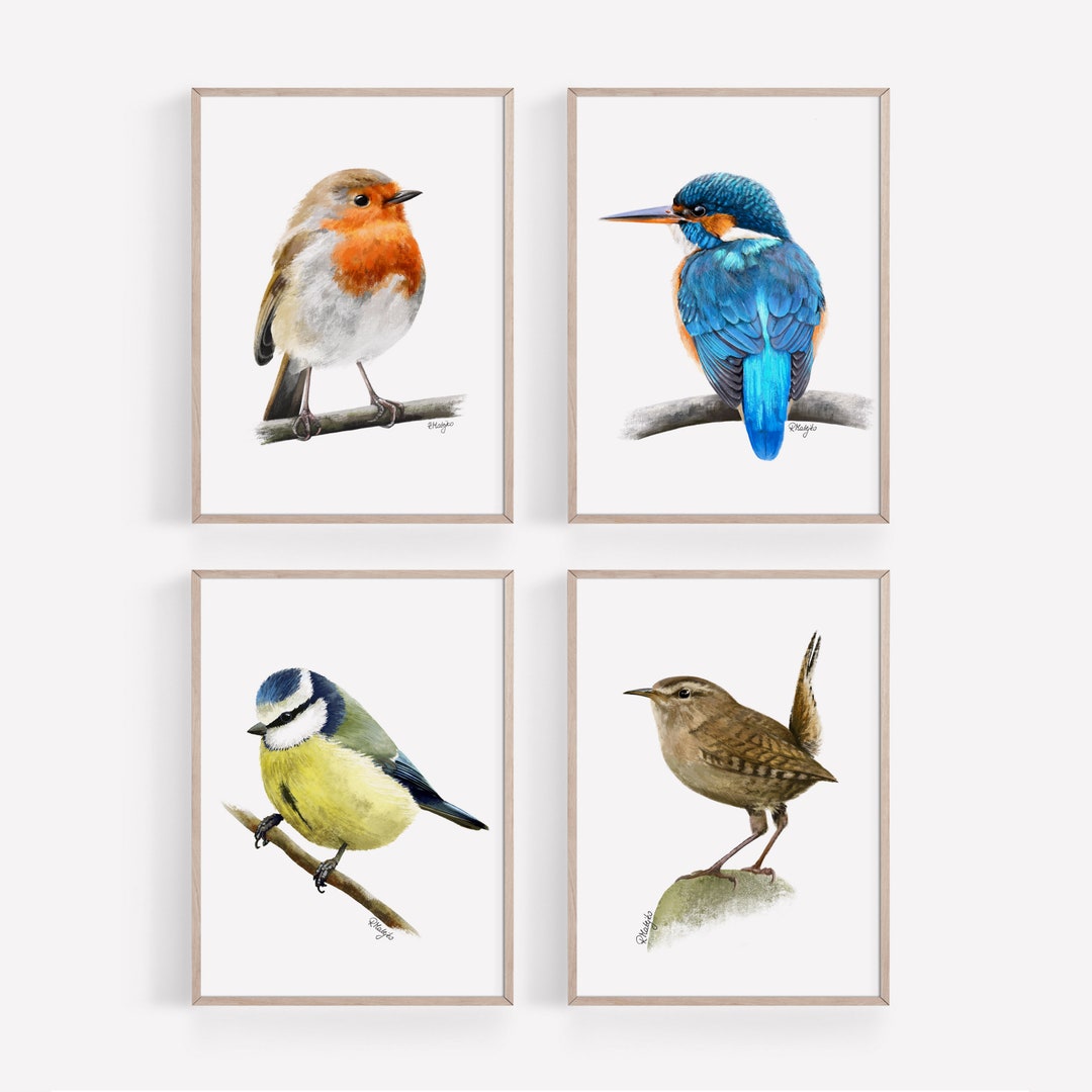 PRINTABLE Garden Birds Wall Art Print Set of 4 Robin - Etsy