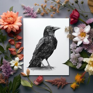 ORIGINAL Raven Pencil Drawing, Carrion Crow Bird Wall Art, Nature ...