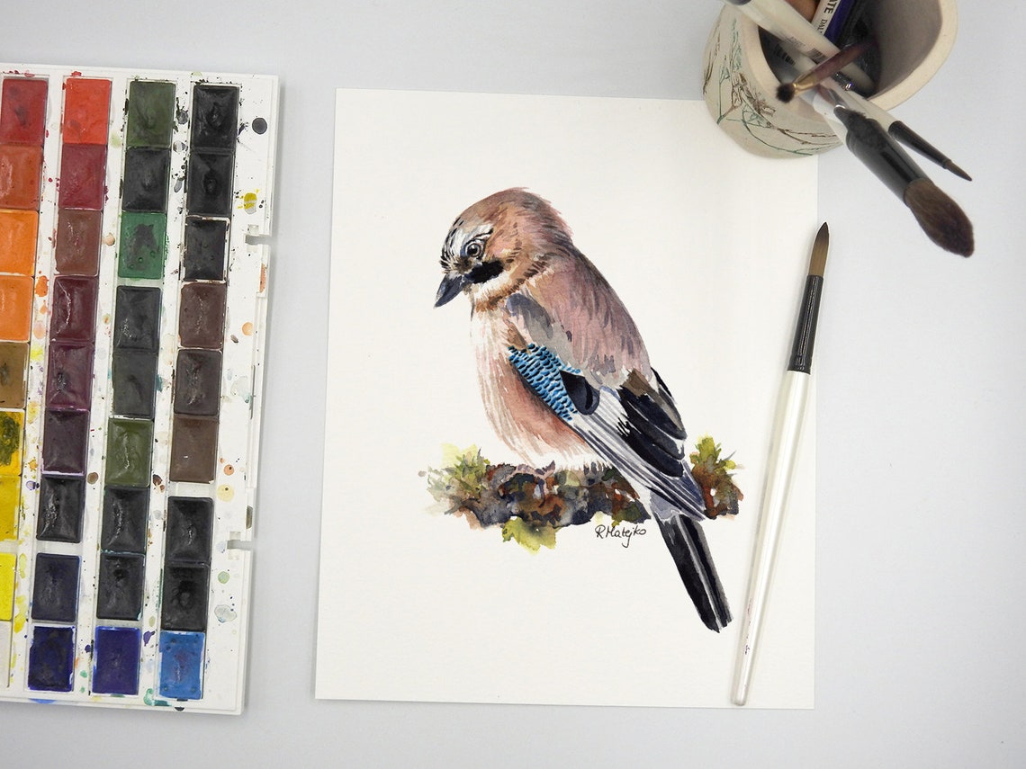 ORIGINAL Jay Watercolor Painting, Eurasian Jay Bird Wall Art, British ...