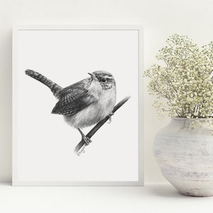 PRINTABLE Wren Art Print, Wren Pencil Drawing Wall Art, Garden Bird ...