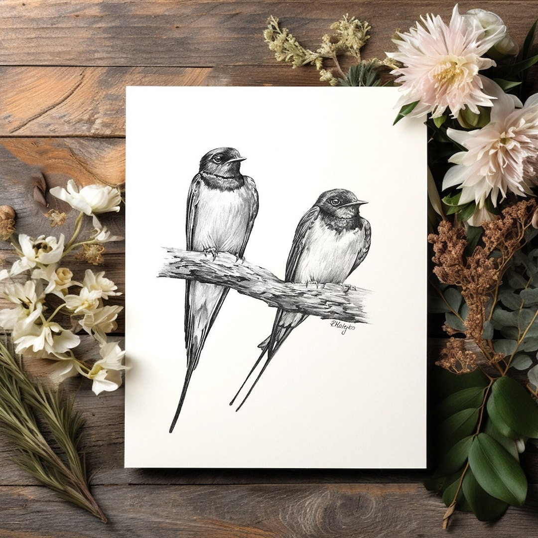 ORIGINAL Barn Swallows Pencil Drawing, British Garden Bird Wall Art ...